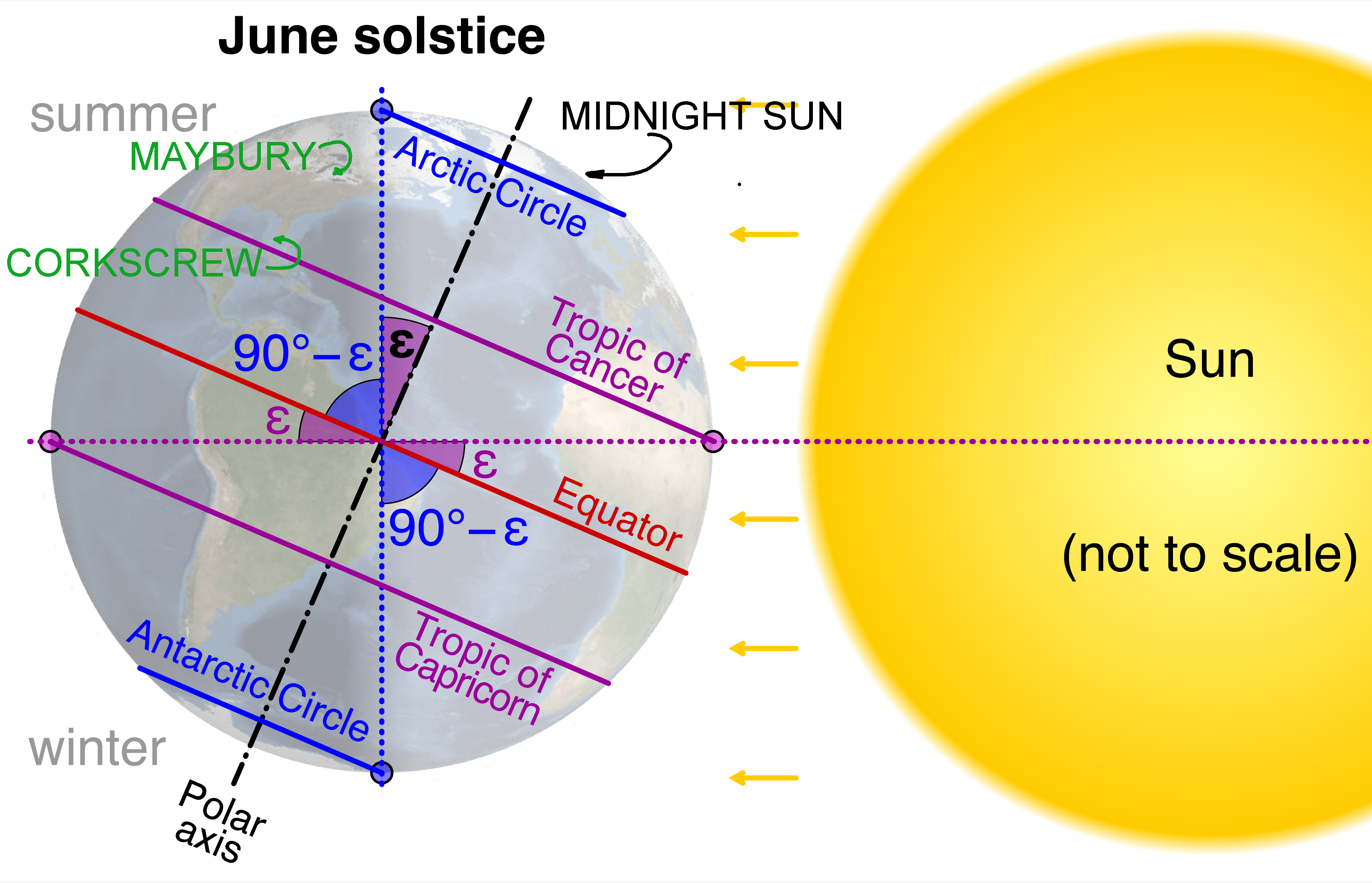 Earth’s Axial Tilt Determines Forest Winners – Everglades Ark